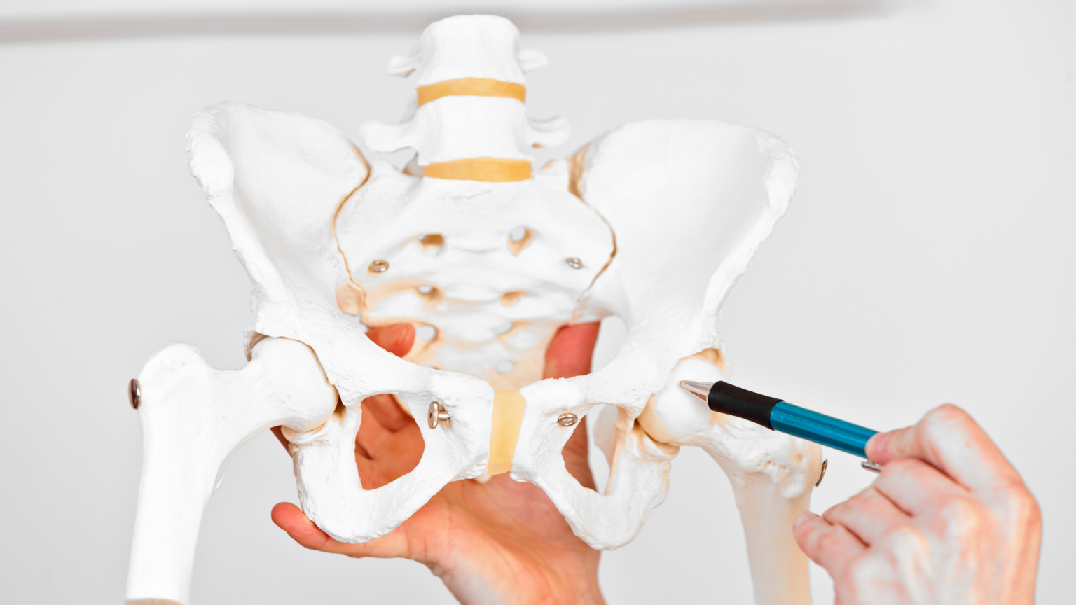 Everything You Need to Know About Hip Replacement Surgery - CORE ...