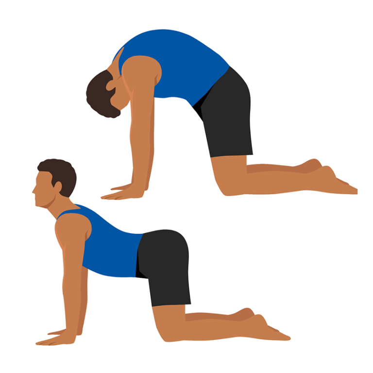 12 Exercises to Pre-Hab for Back Surgery - CORE Orthopedics